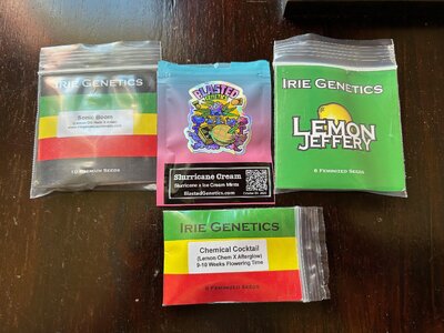 Slurricane Cream + another batch of Irie sativas | Bud Builders ...